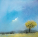 Rob Selkirk – McNeill Gallery