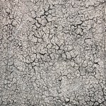 Tom Cartmill – McNeill Gallery