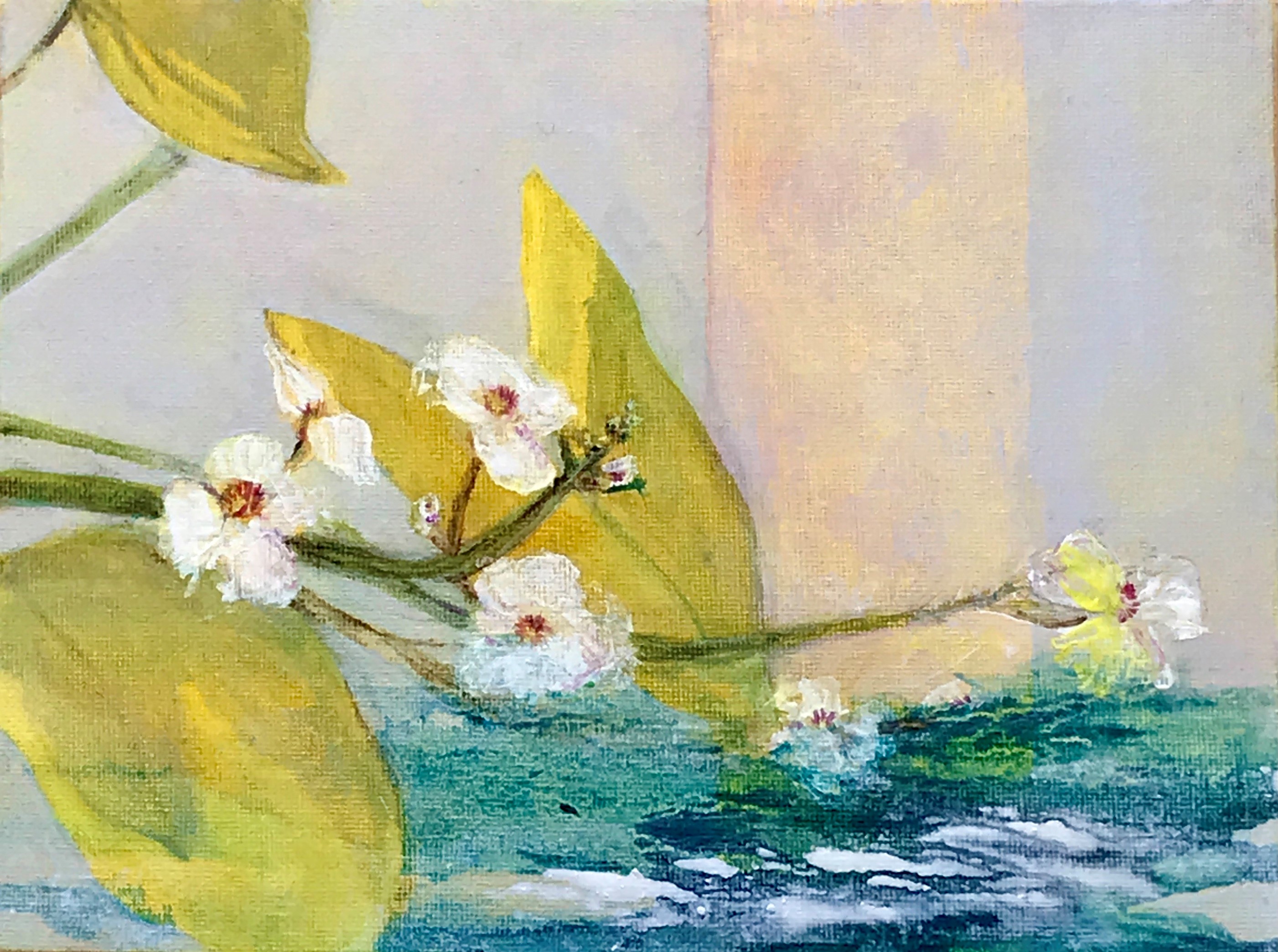 Lorna Wilson – McNeill Gallery