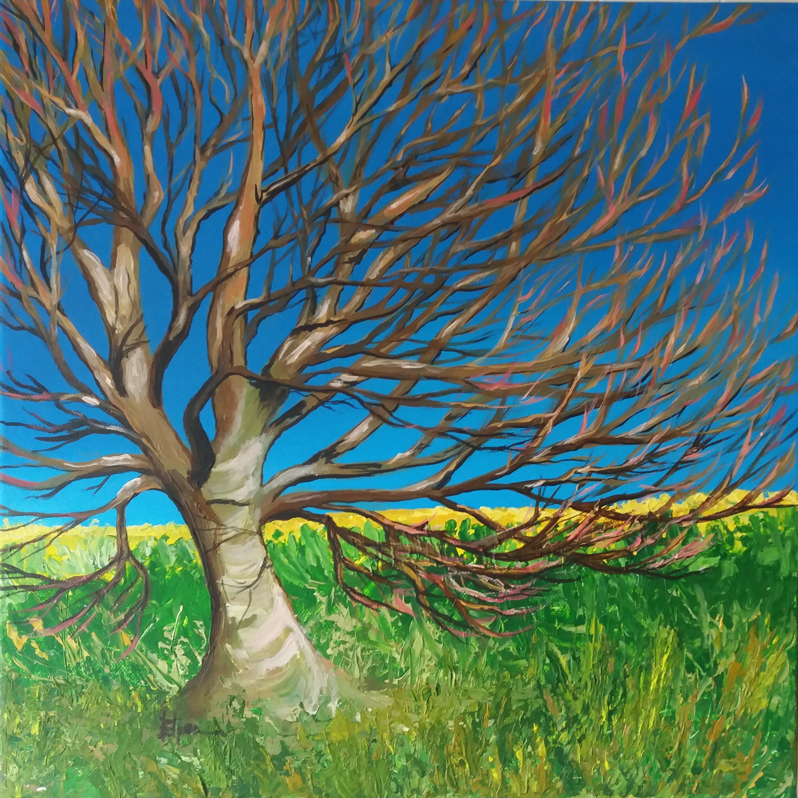 Ellen Wassell coming back to life Mar 2022 – McNeill Gallery