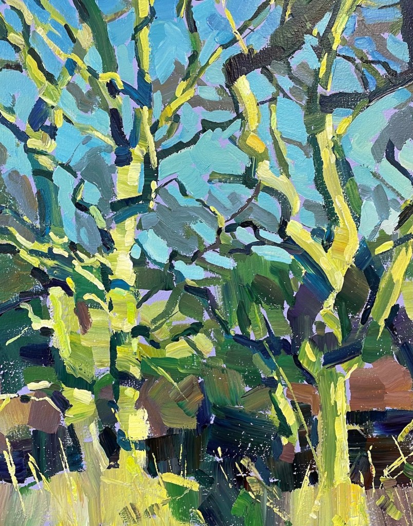 Hashim Akib – McNeill Gallery