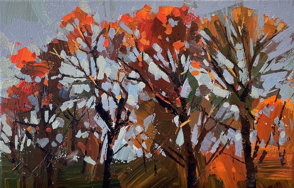 Hashim Akib – McNeill Gallery