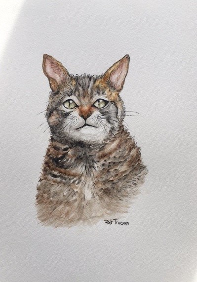 Pat Trueman Fat Cat Nov 2024 – McNeill Gallery